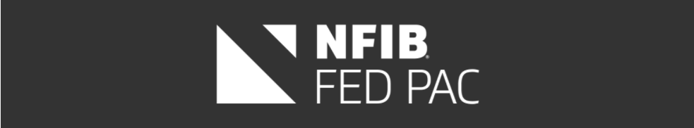 August 9 is Big Election Day in Southern Minnesota - NFIB