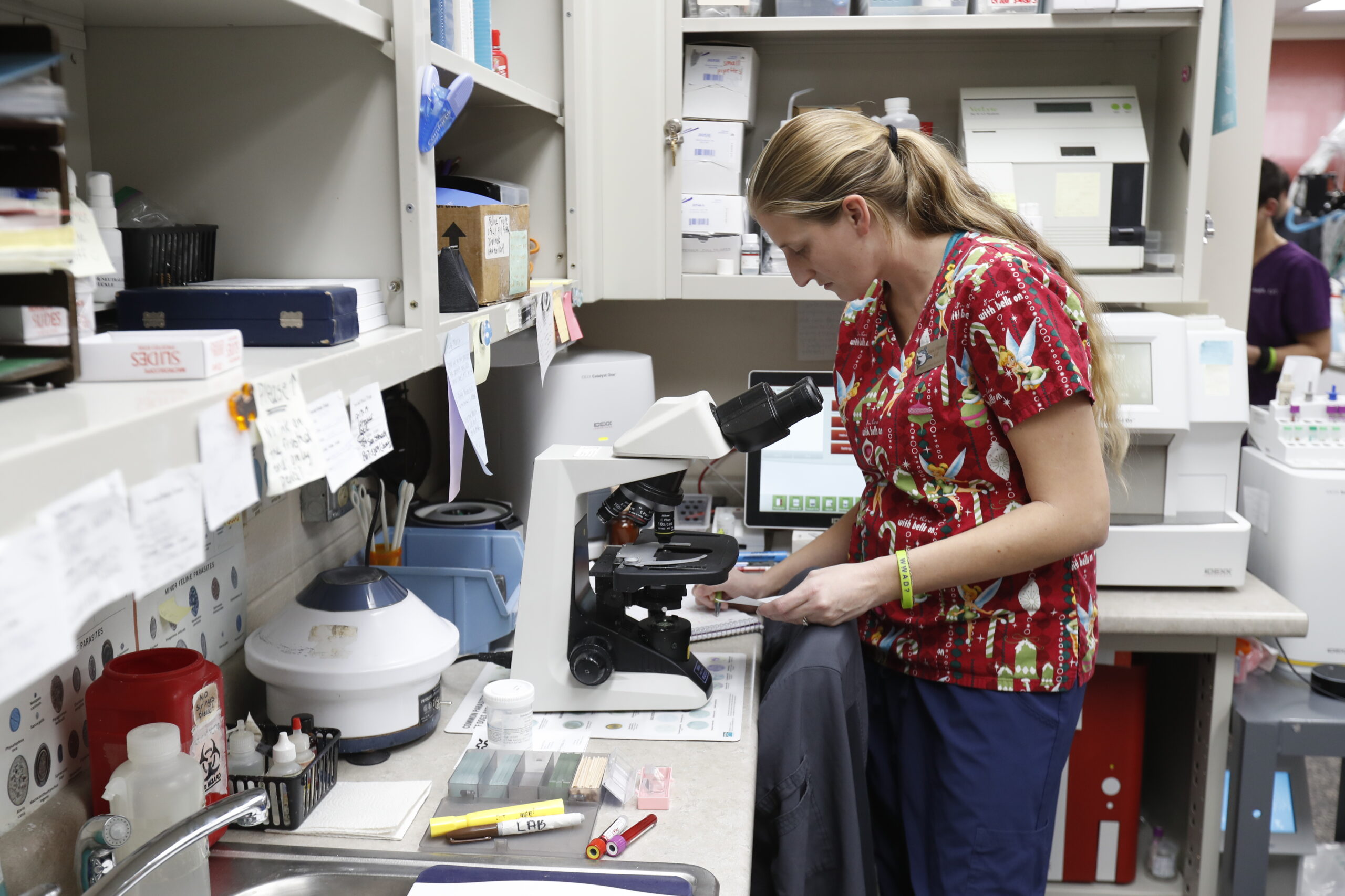 Small Business Calls on Congress for Affordable Healthcare